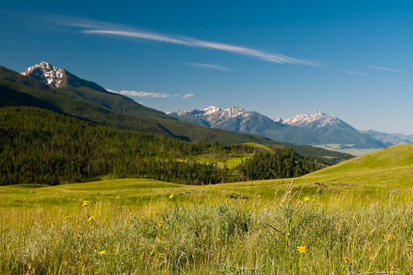 Authentic McAlister Ranch - Livingston MT